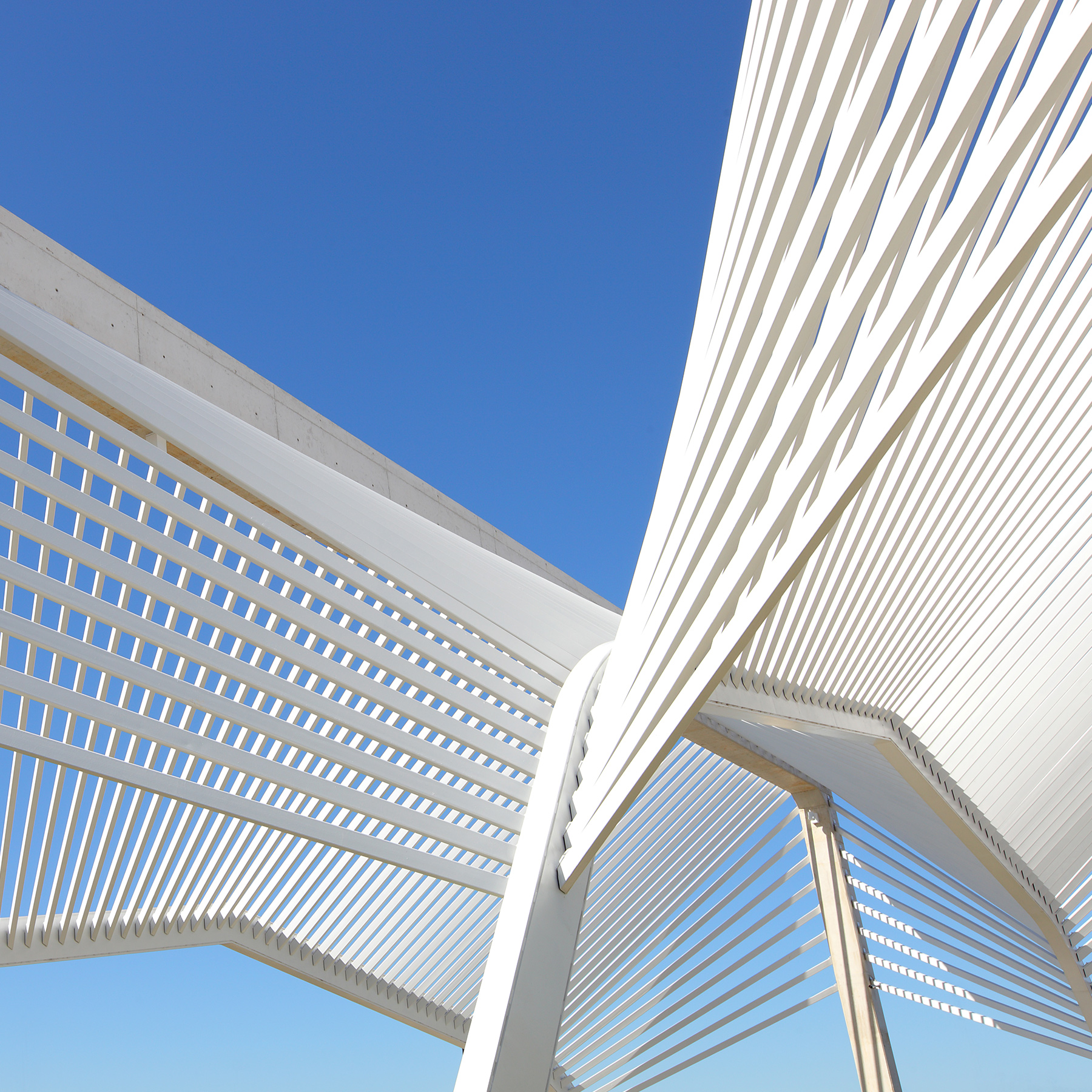 HACHEM : Architecture . Interior . Marketing